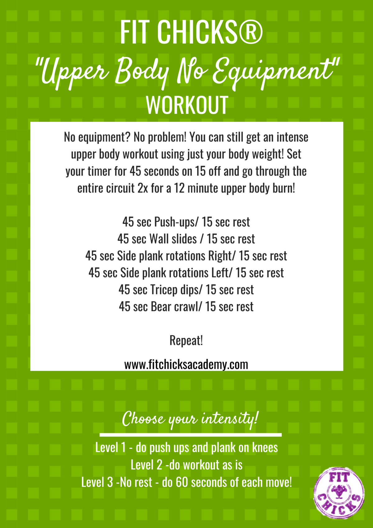 FIT CHICKS Friday "Upper Body No Equipment" - FIT CHICKS ACADEMY