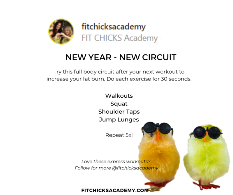 FIT CHICKS Fitness Friday - "New Year - New Circuit" - FIT CHICKS ACADEMY